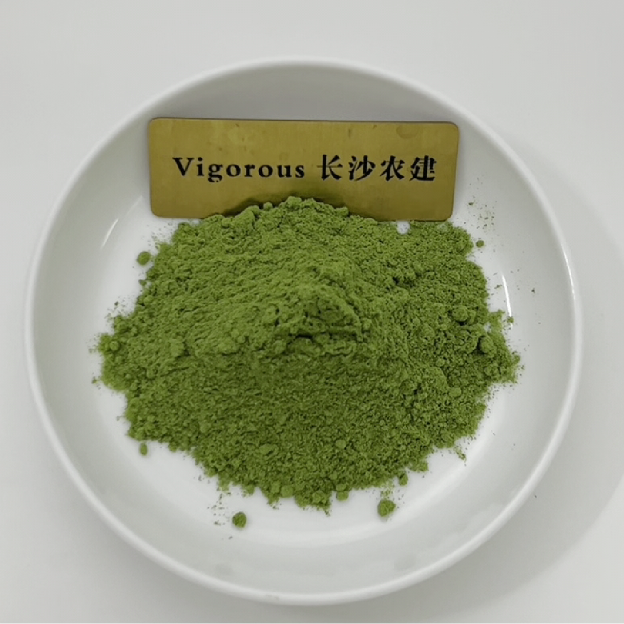 High Quality Coriander Extract Coriandrum Sativum Extract Cilantro ...
